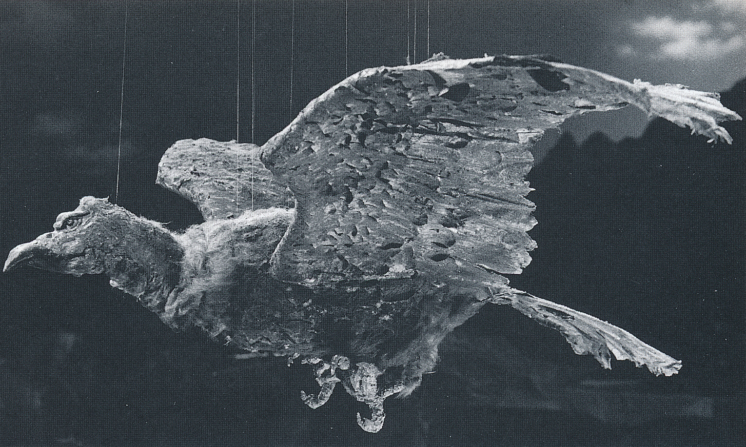 Rodan (Showa) | Wikizilla, the kaiju encyclopedia